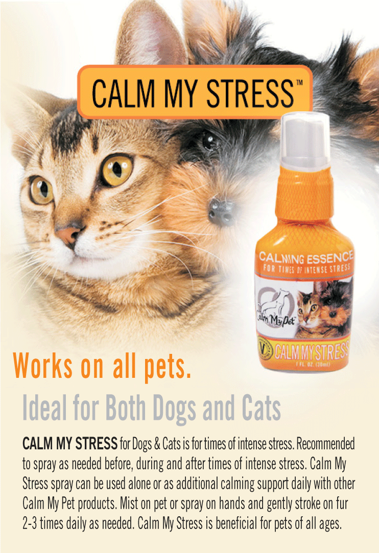 Calm My Stress Essence: Pet Calming Spray : Calm My Pet